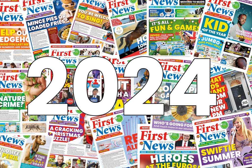 Reflecting on Our Impact in 2024 - First News